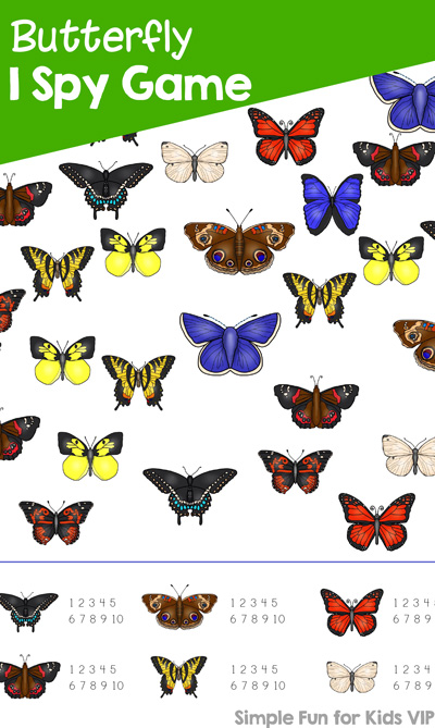 Butterfly I Spy Game - Simple Fun for Kids VIP