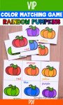 Rainbow Pumpkin Color Matching Game - Simple Fun for Kids VIP