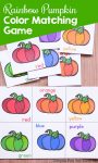 Rainbow Pumpkin Color Matching Game - Simple Fun for Kids VIP