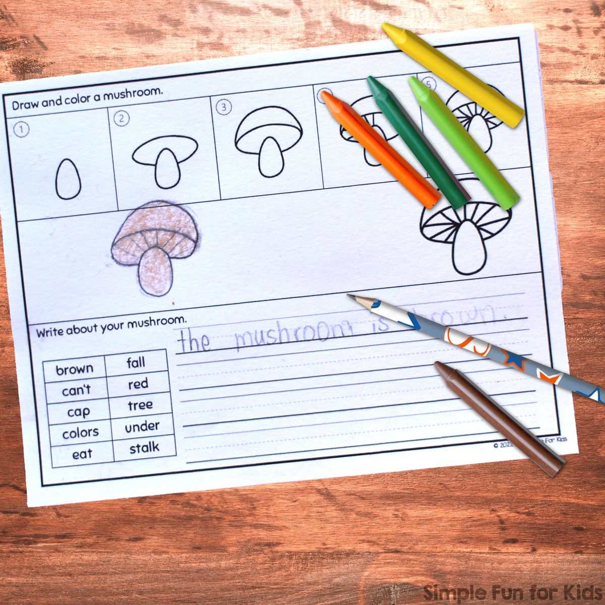 Fall Directed Drawings: Differentiated Draw and Write Worksheets ...
