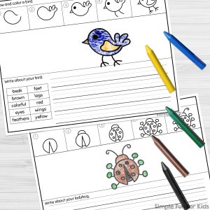 Spring Directed Drawings: Differentiated Draw and Write Worksheets ...